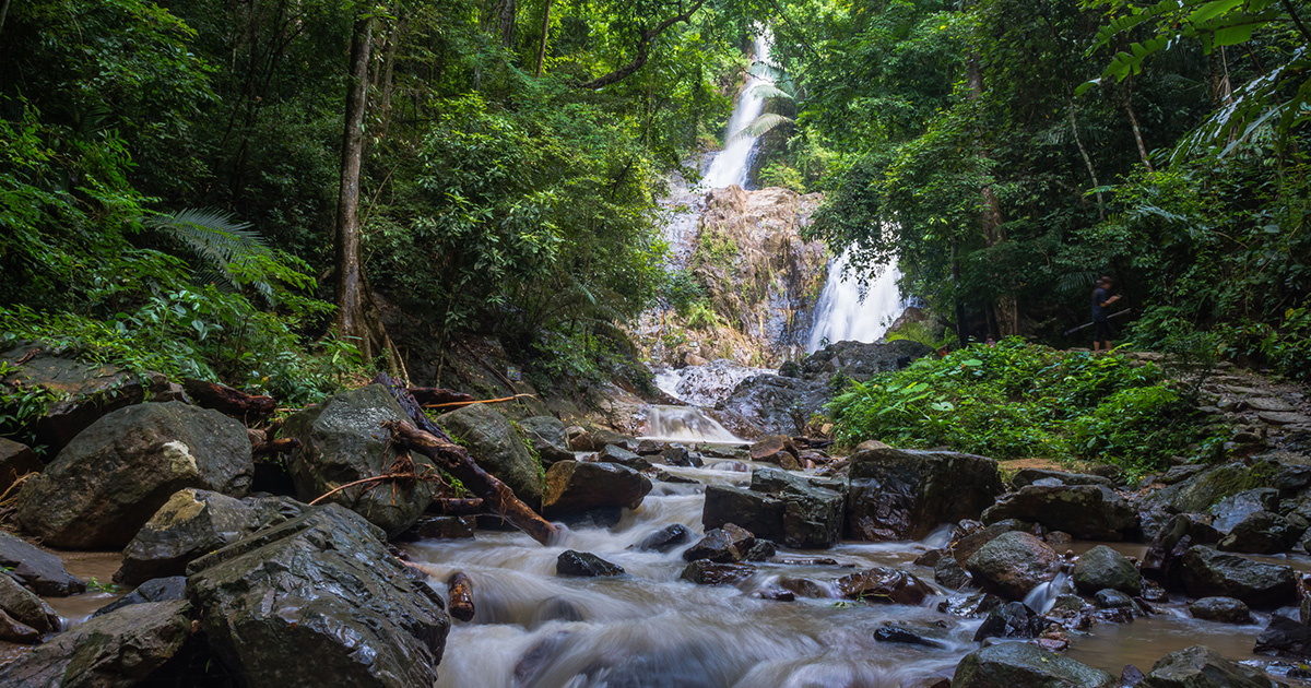 Khao Phanom Bencha National Park