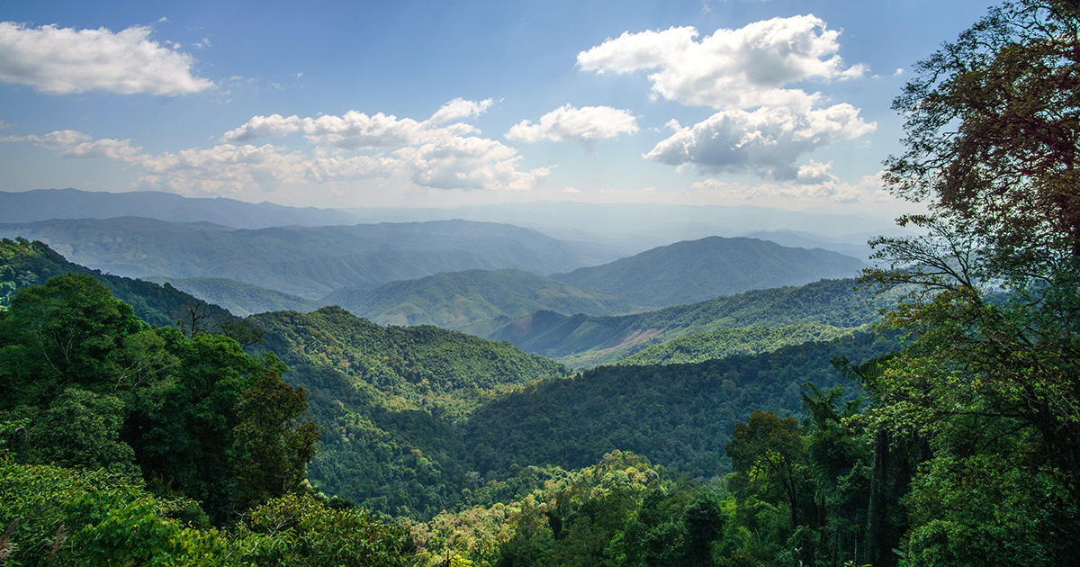 Doi Phu Kha National Park