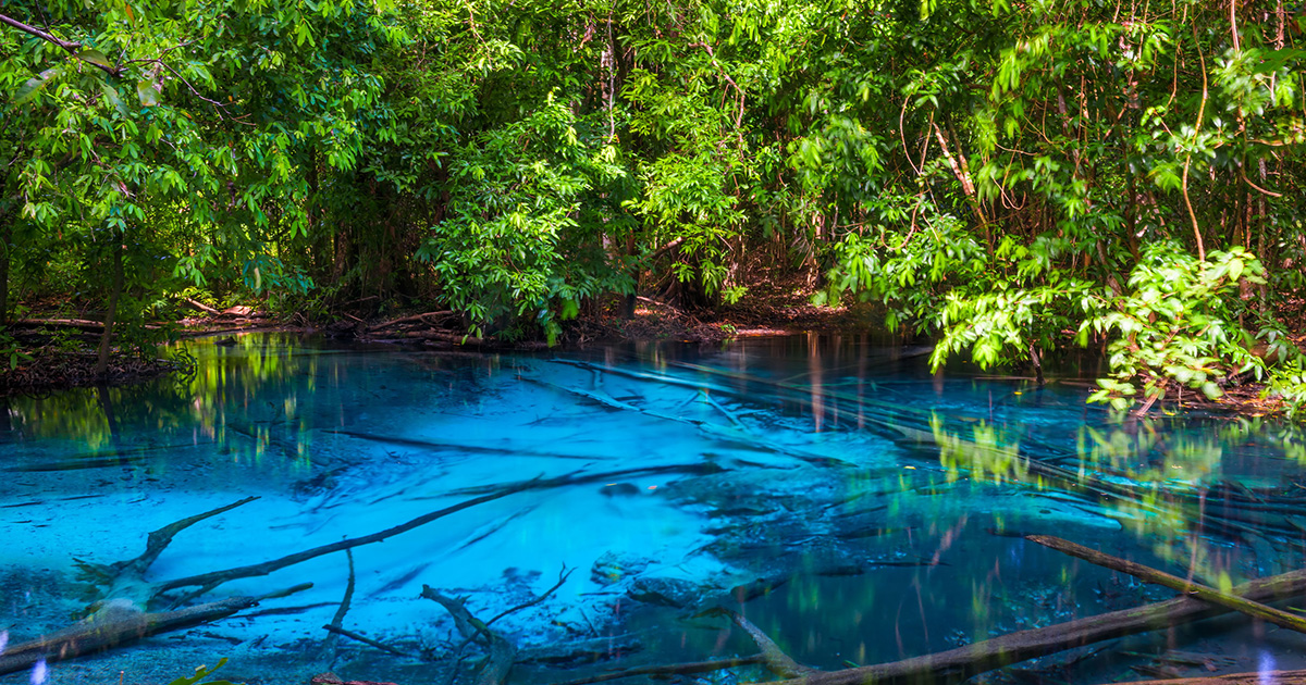 Khao Phra - Bang Khram Wildlife Sanctuary